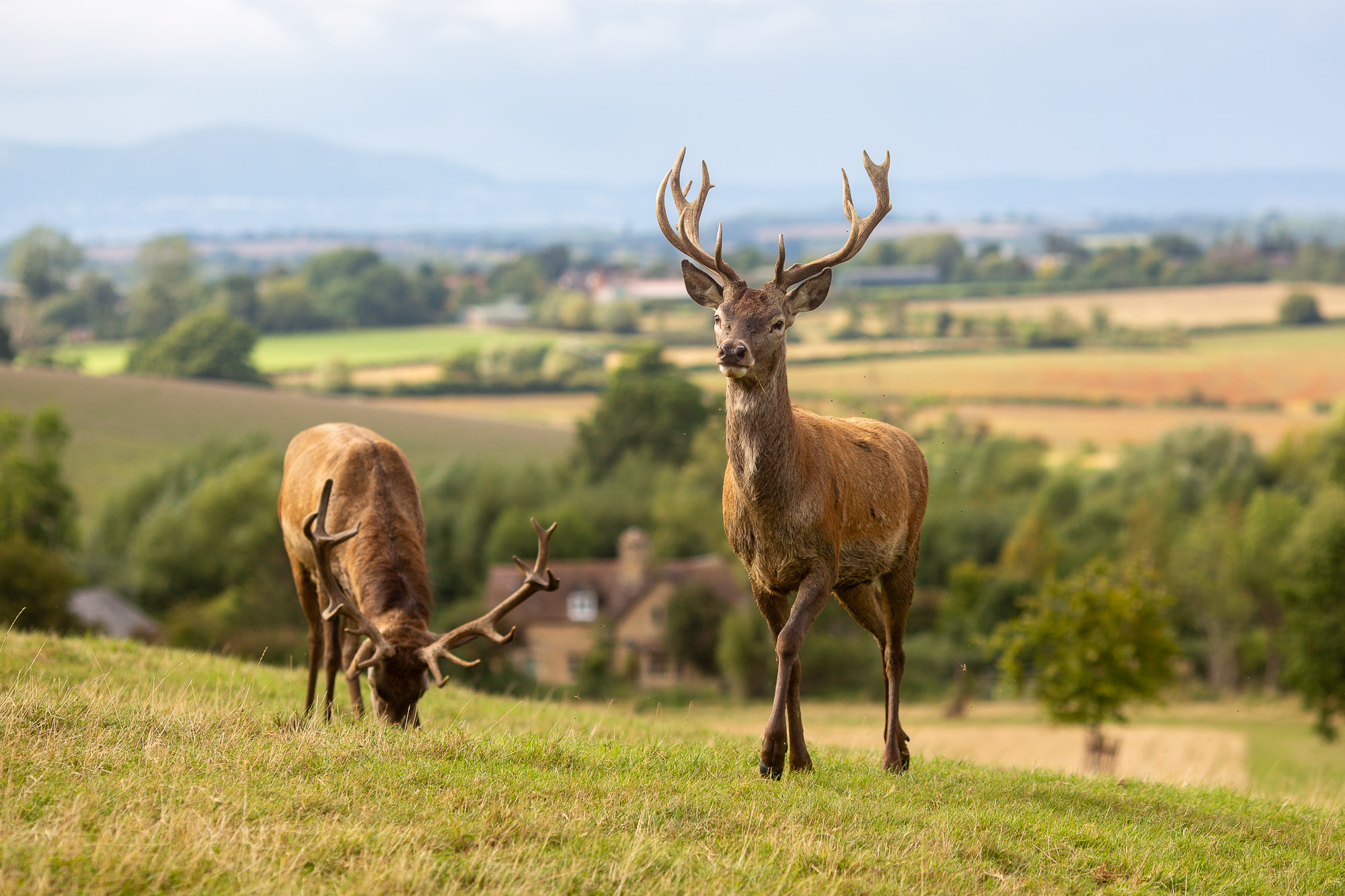 Outstanding Deer Park Hall Cotswold Wedding Photographer